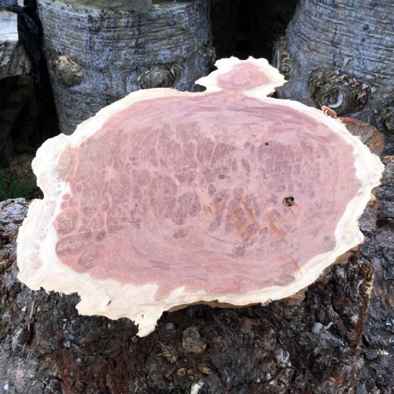 Ash Spindle Blanks Ready for The Woodturner